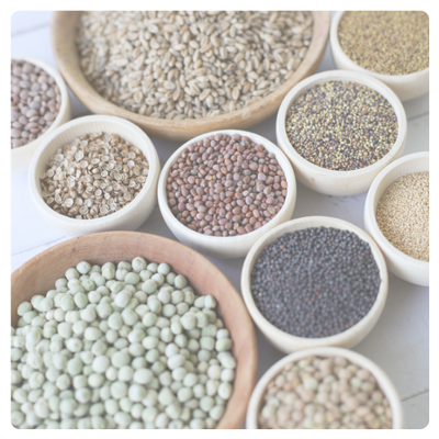 Seemned idandamiseks, tõusmete kasvatamiseks (25) – Väike Värvu